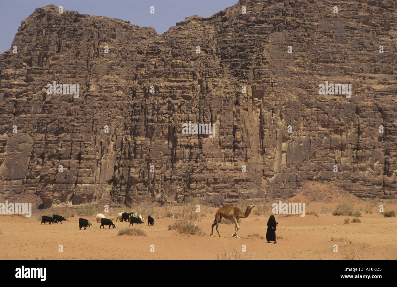 Nomadic arab tribes hi-res stock photography and images - Alamy