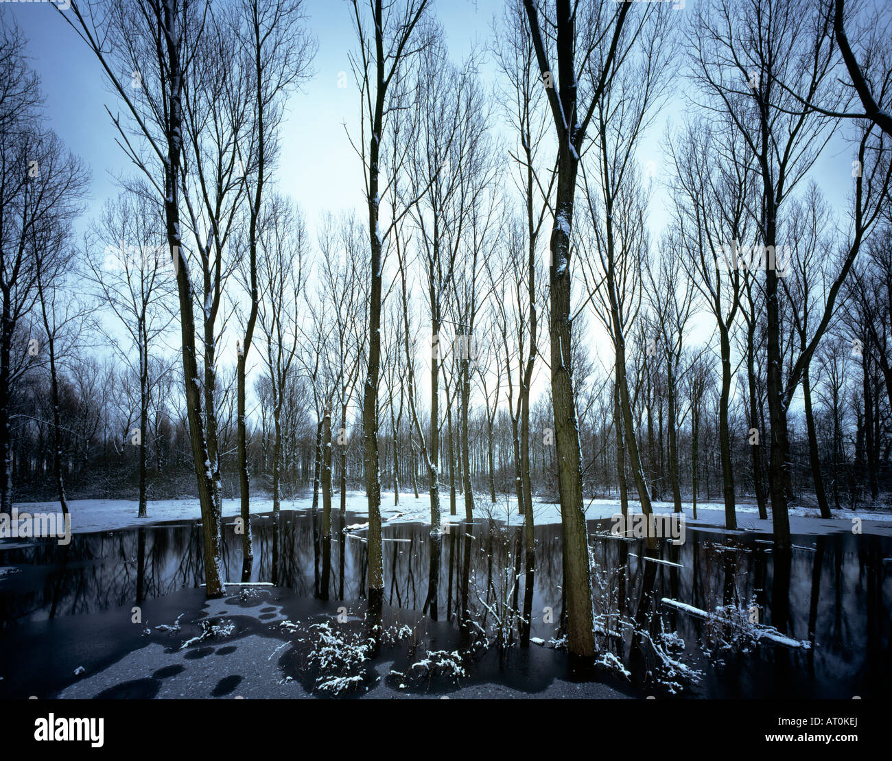 Meerbusch, Büderich, Altrheinarm bei Haus Meer im Winter Stock Photo ...