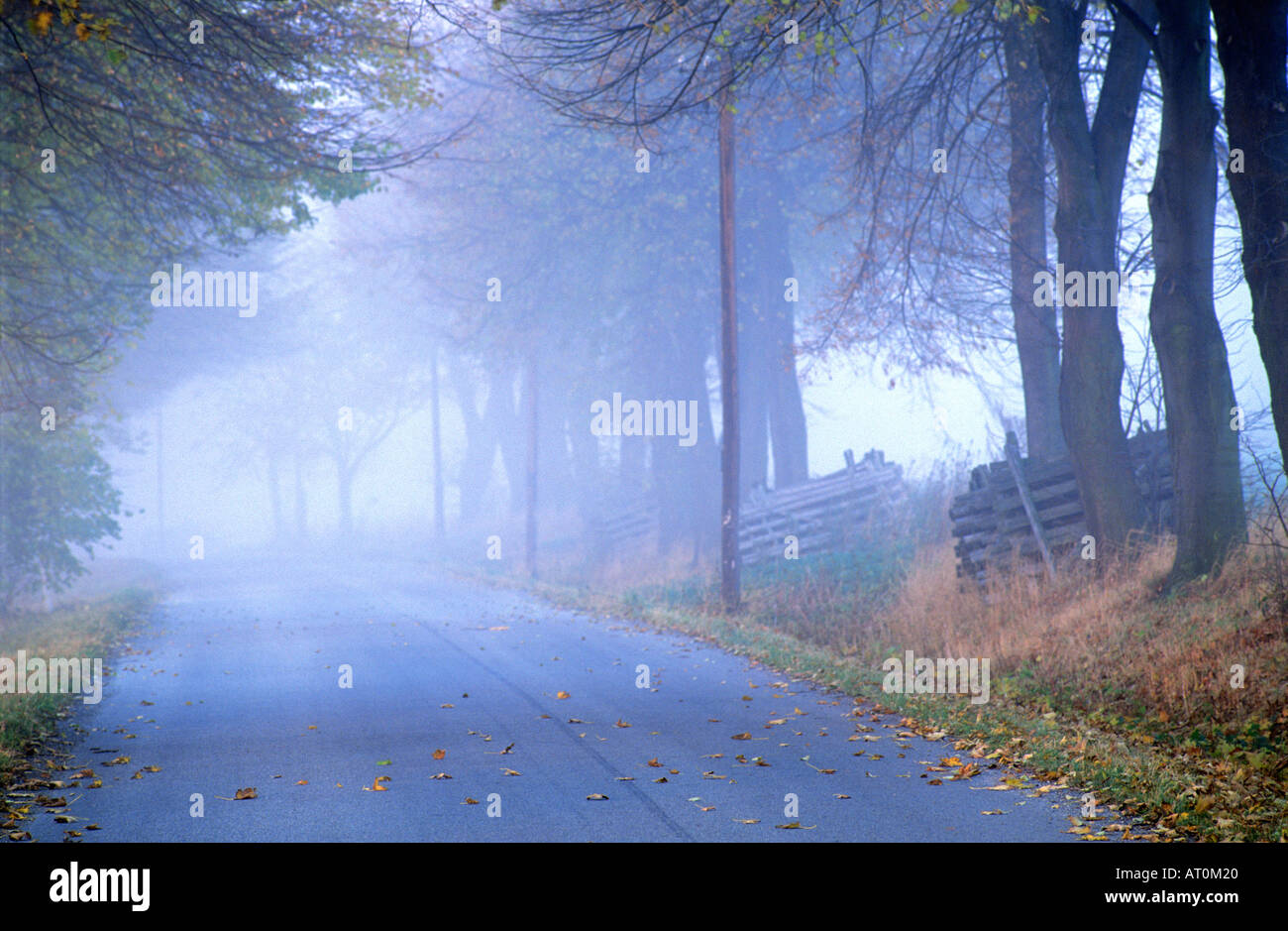 COUNTRY ROAD IN MIST Stock Photo - Alamy