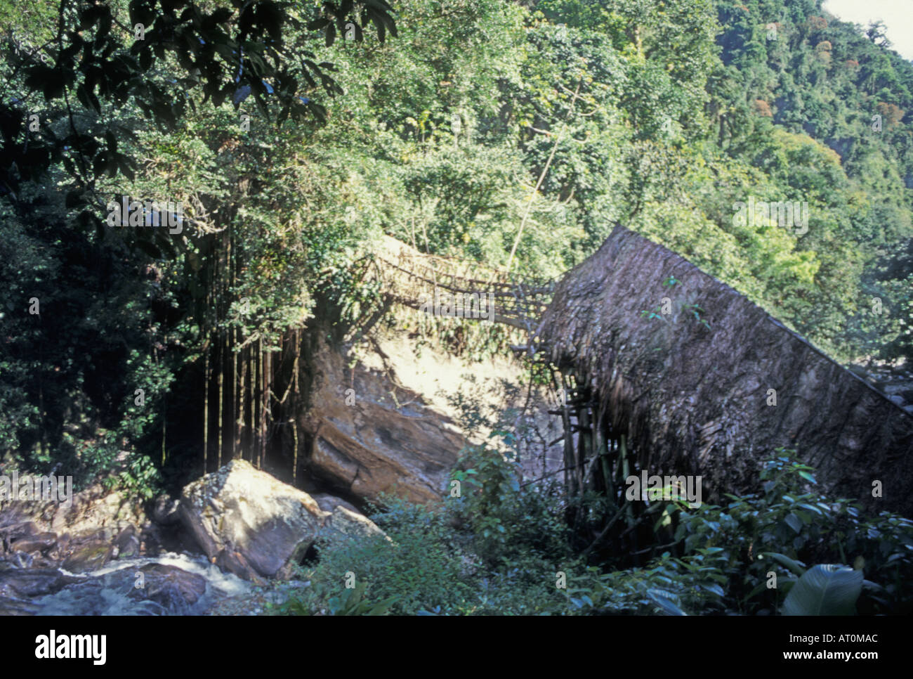 bridge built from natural resources in the jungle of northern central ...