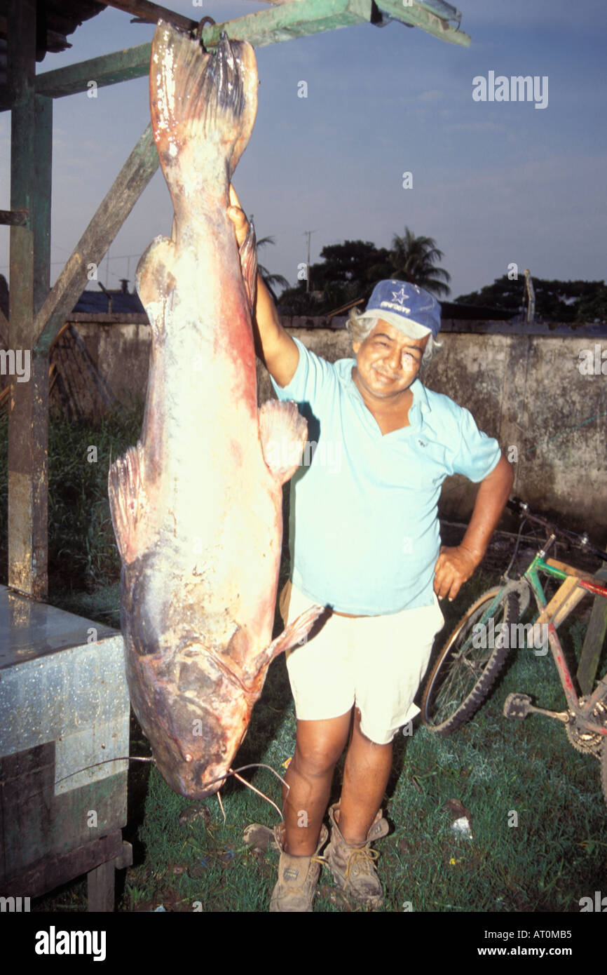 fish seller shows off a giant catfish that was caught in the Amazon ...