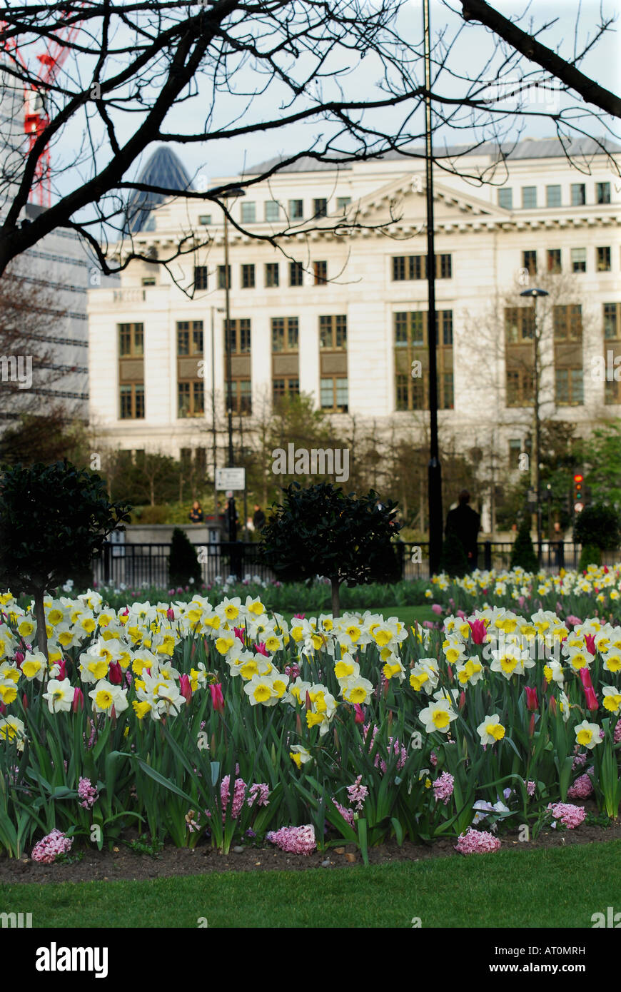Spring flowers in a small London Park near to St Paul's cathedral Stock ...
