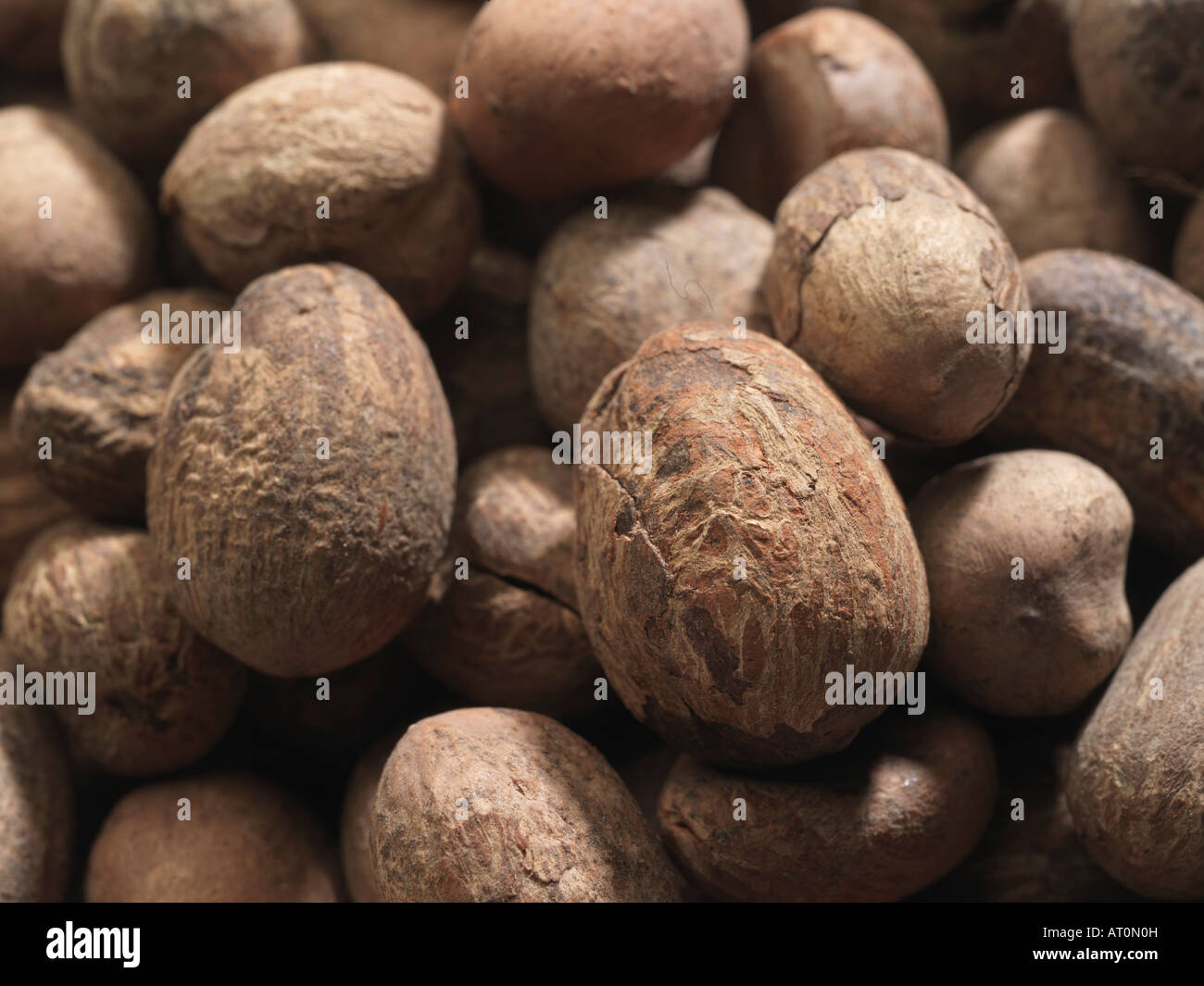 Shea Nut Stock Photos & Shea Nut Stock Images - Alamy