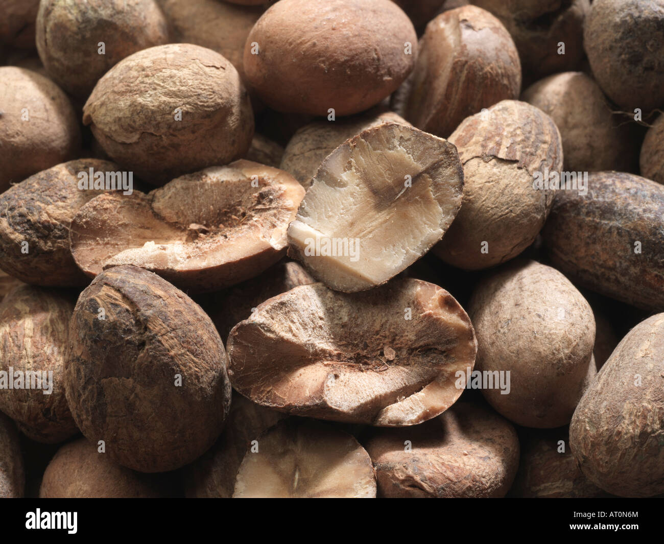 Broken Shea Nuts Stock Photo - Alamy