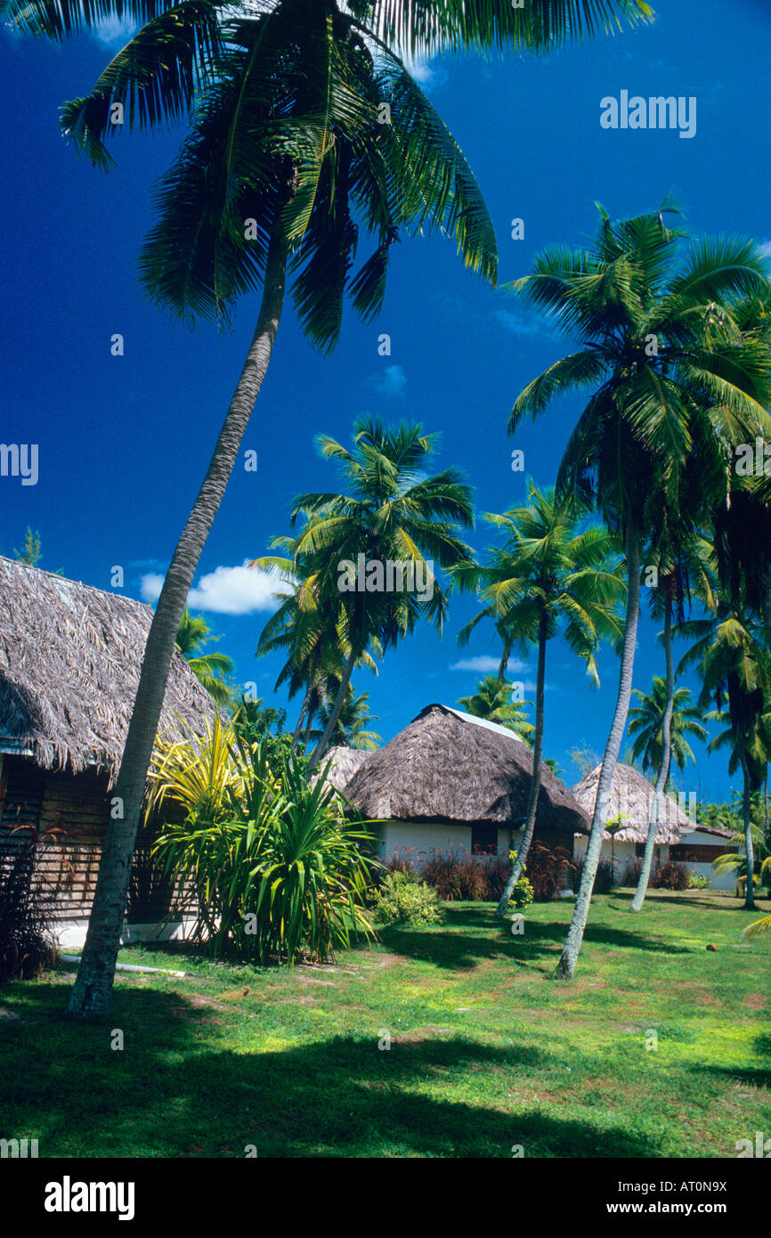 Thatched bird hi-res stock photography and images - Alamy
