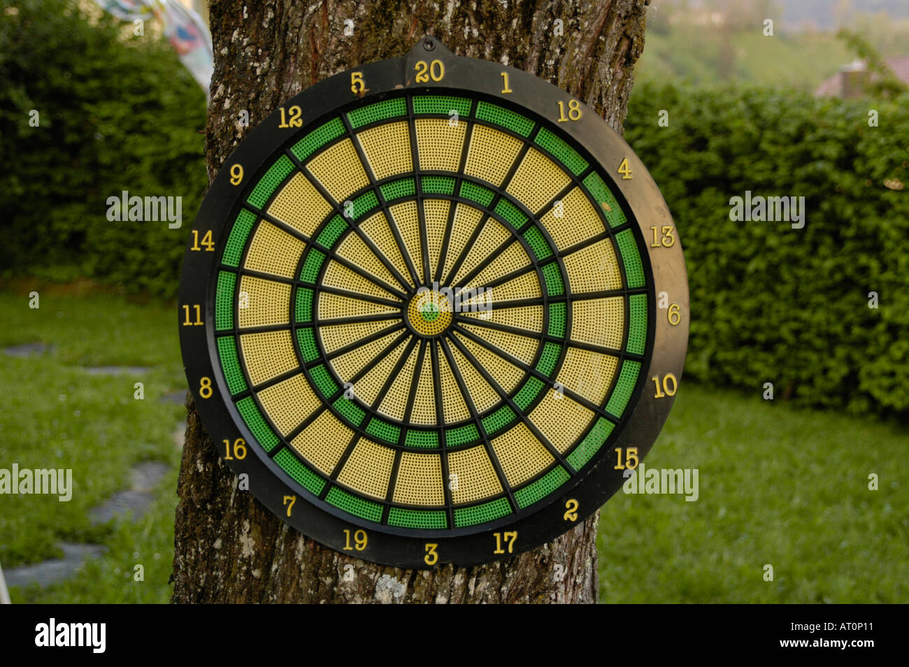disc target pinned on a tree Stock Photo - Alamy
