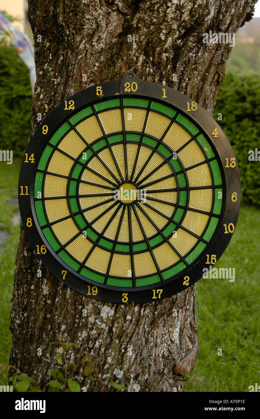 disc target pinned on a tree Stock Photo - Alamy
