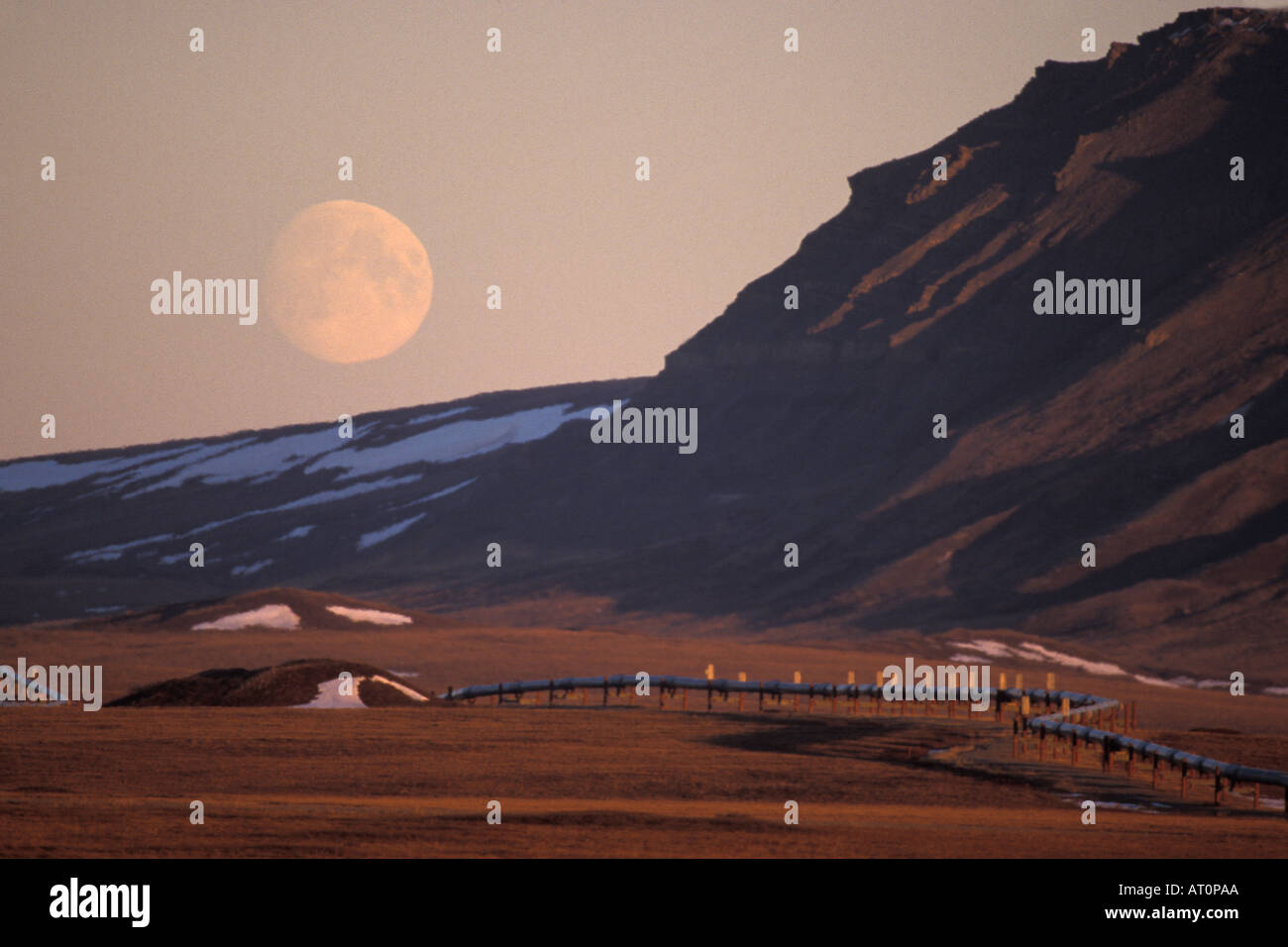 Alaskan pipeline with a full moon over the North Slope of the Brooks ...
