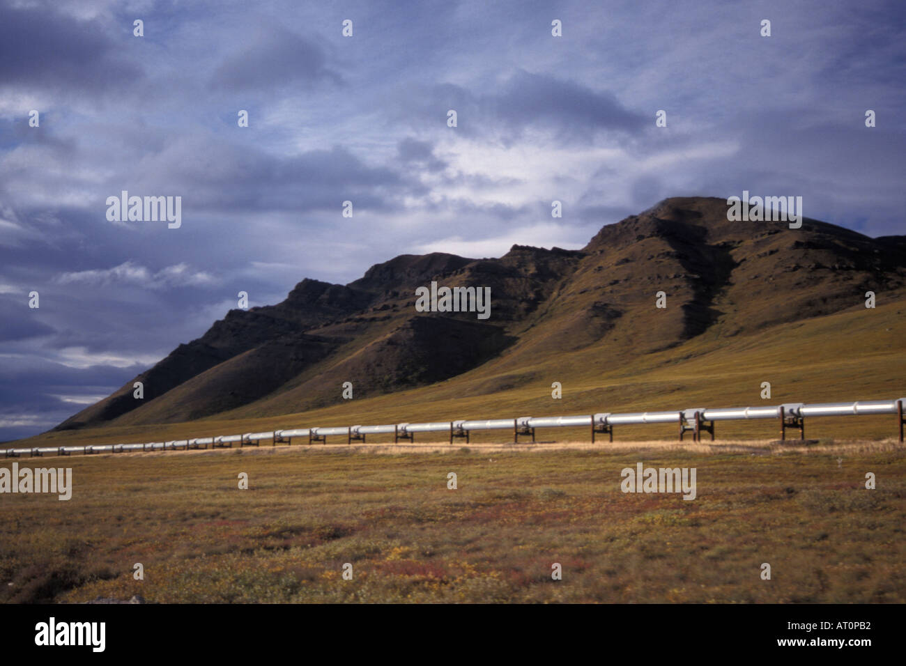 Alaskan pipeline winds its way across the North Slope of the Brooks ...