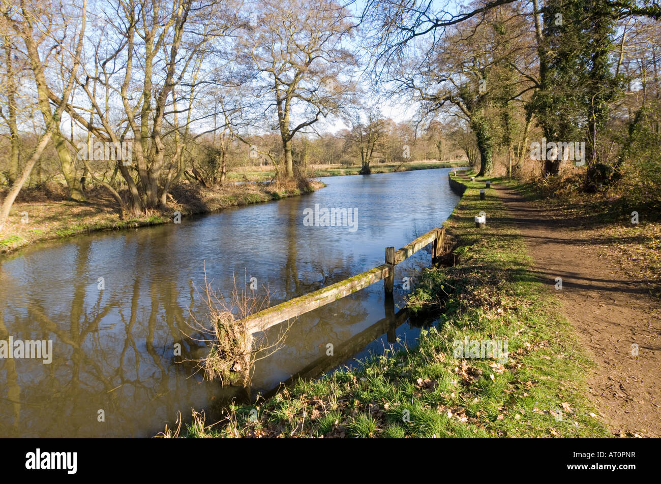 Ripley surrey hi-res stock photography and images - Alamy