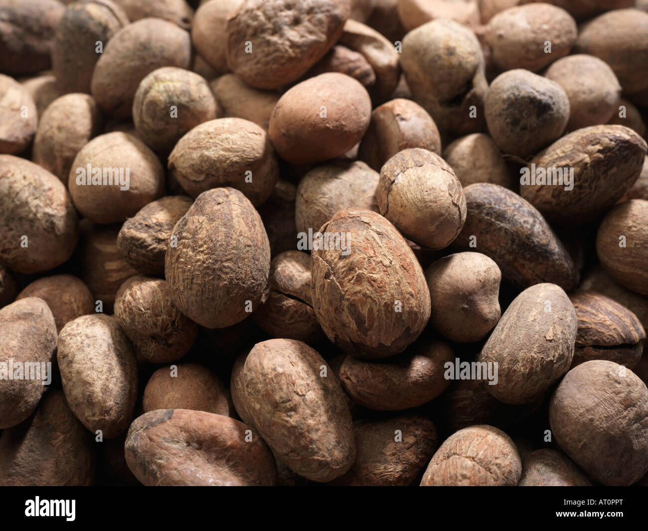 Shea Nut Stock Photos & Shea Nut Stock Images - Alamy