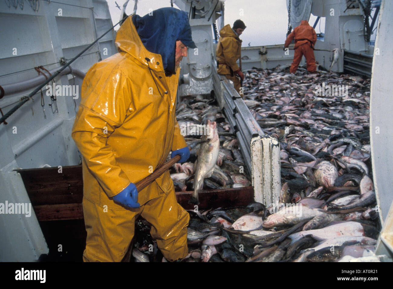Crew from commercial fishing vessel hi-res stock photography and images ...