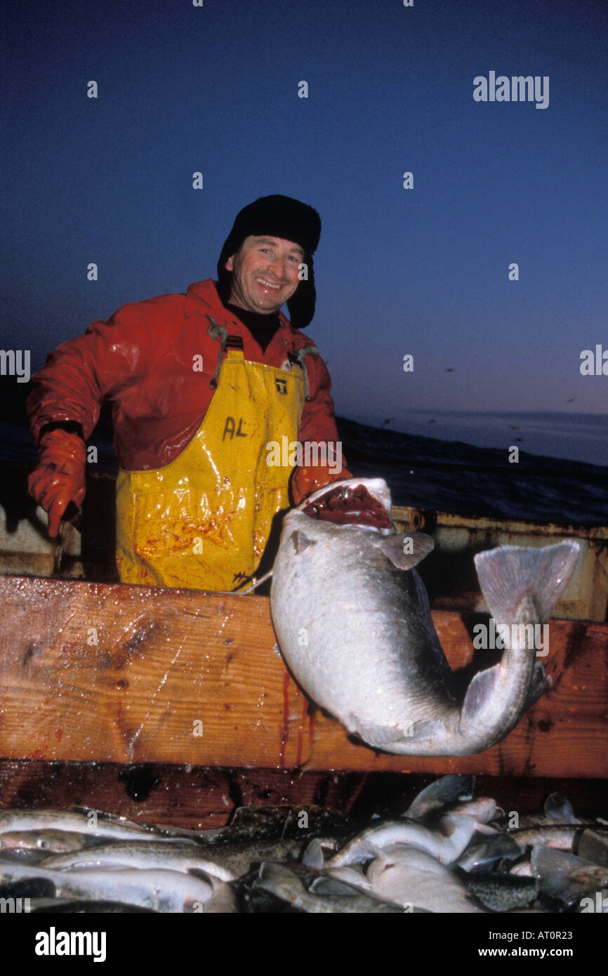 Alaska pollock fishing hi-res stock photography and images - Alamy