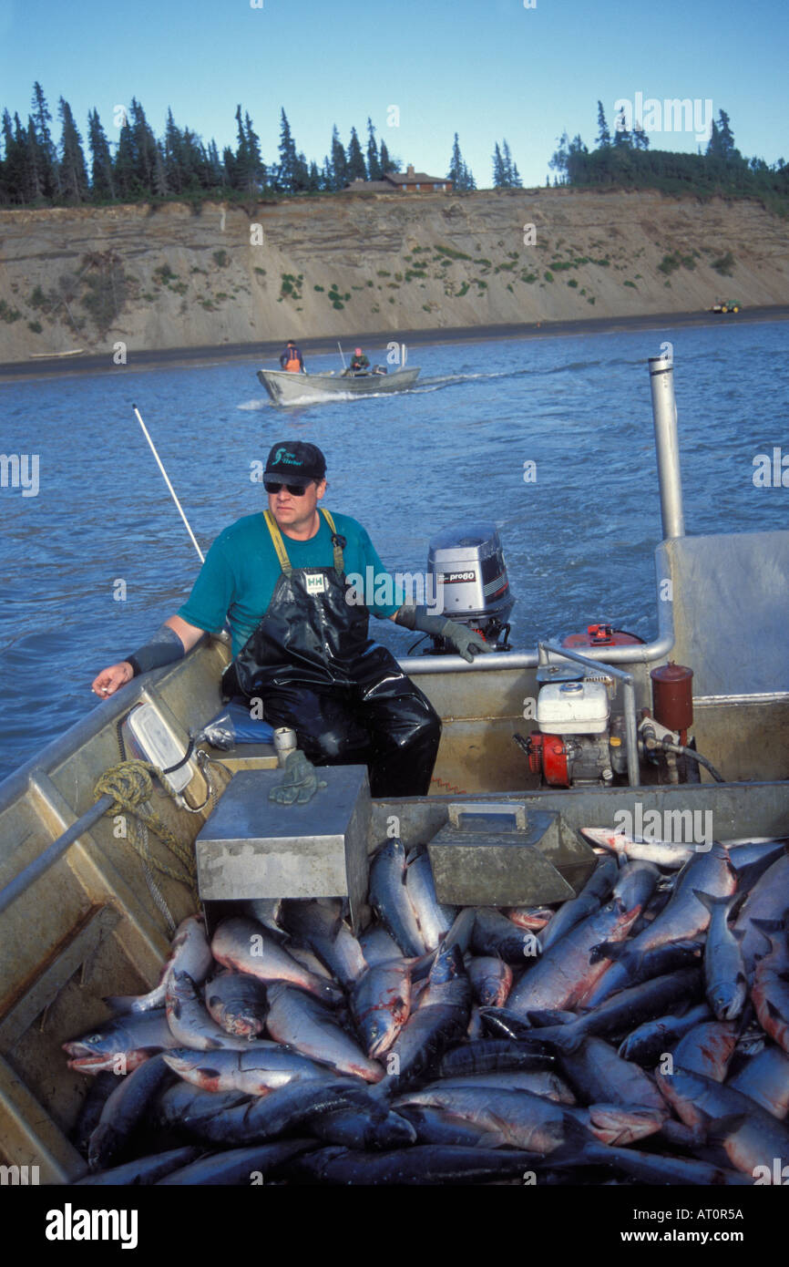 commercial set net fisherman head out in skiffs to check nets for Kenai ...