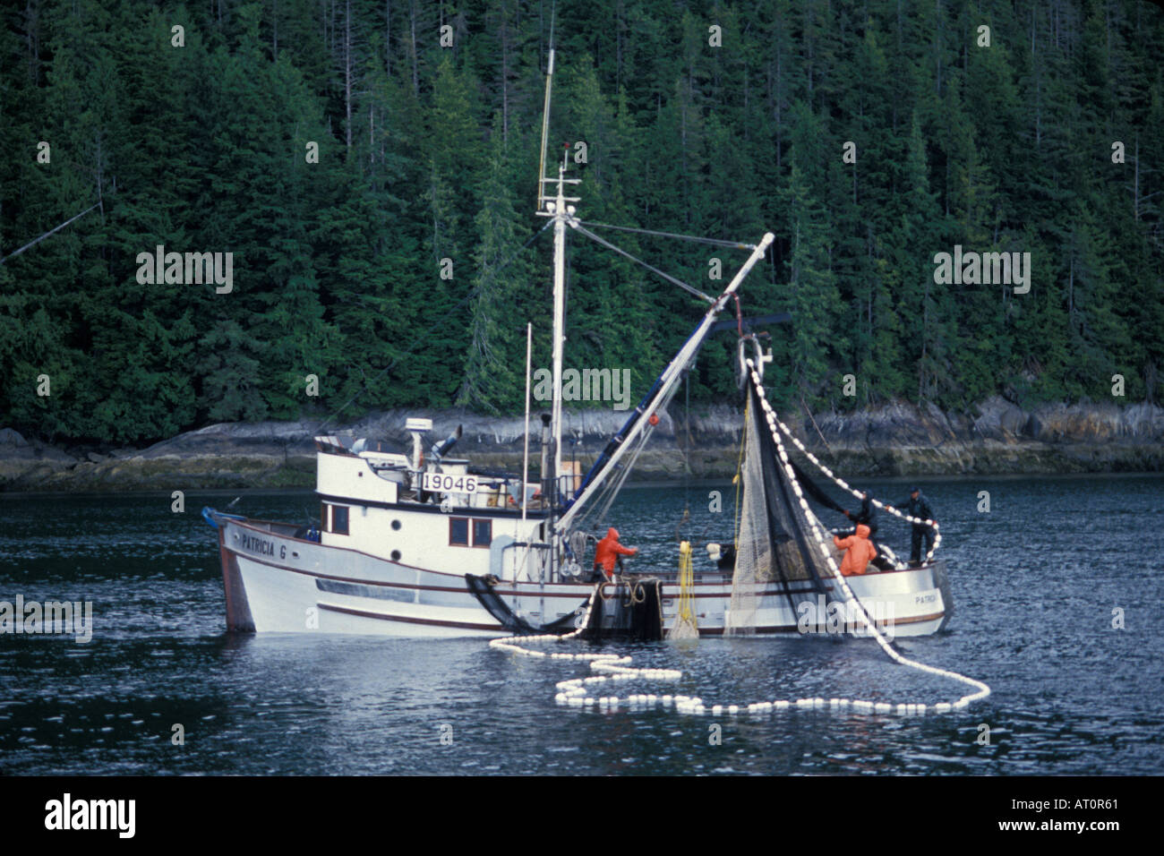 commercial sien net fishing for salmon crew pulls in net Southeast ...