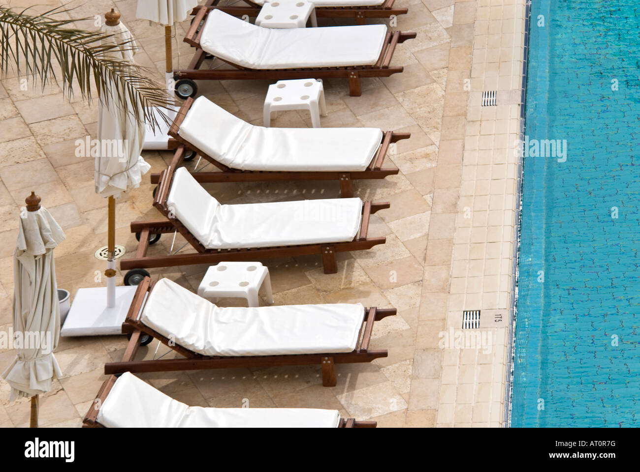 Horizontal elevated close up of a row of empty clean white sunbeds ...