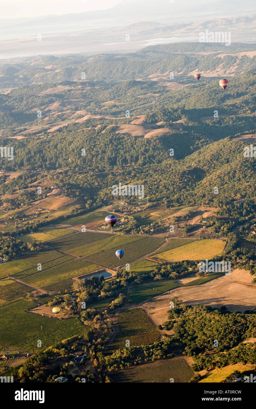 Hot air balloons fly over Napa Valley California Stock Photo - Alamy