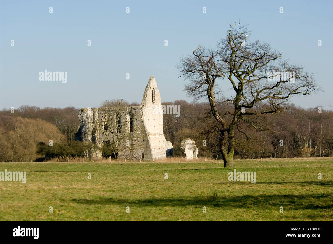 Newark Priory Ripley Surrey UK Stock Photo - Alamy
