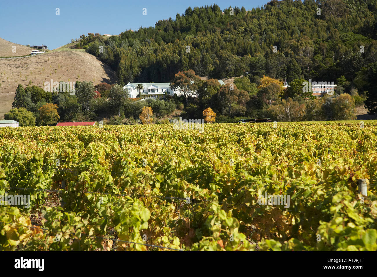 Mission Estate Winery established 1851 Napier Hawkes Bay North Island ...