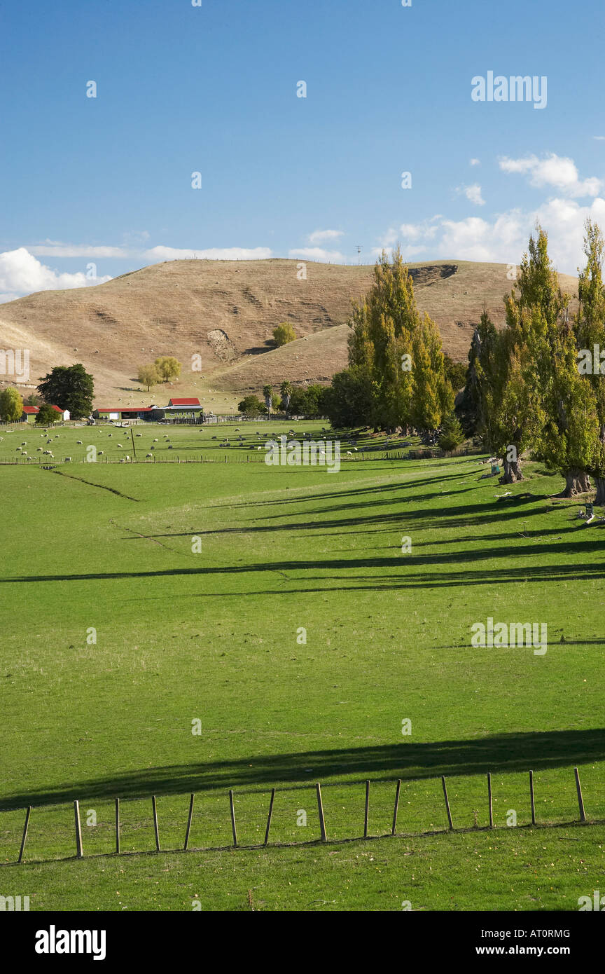 Puketapu hi-res stock photography and images - Alamy