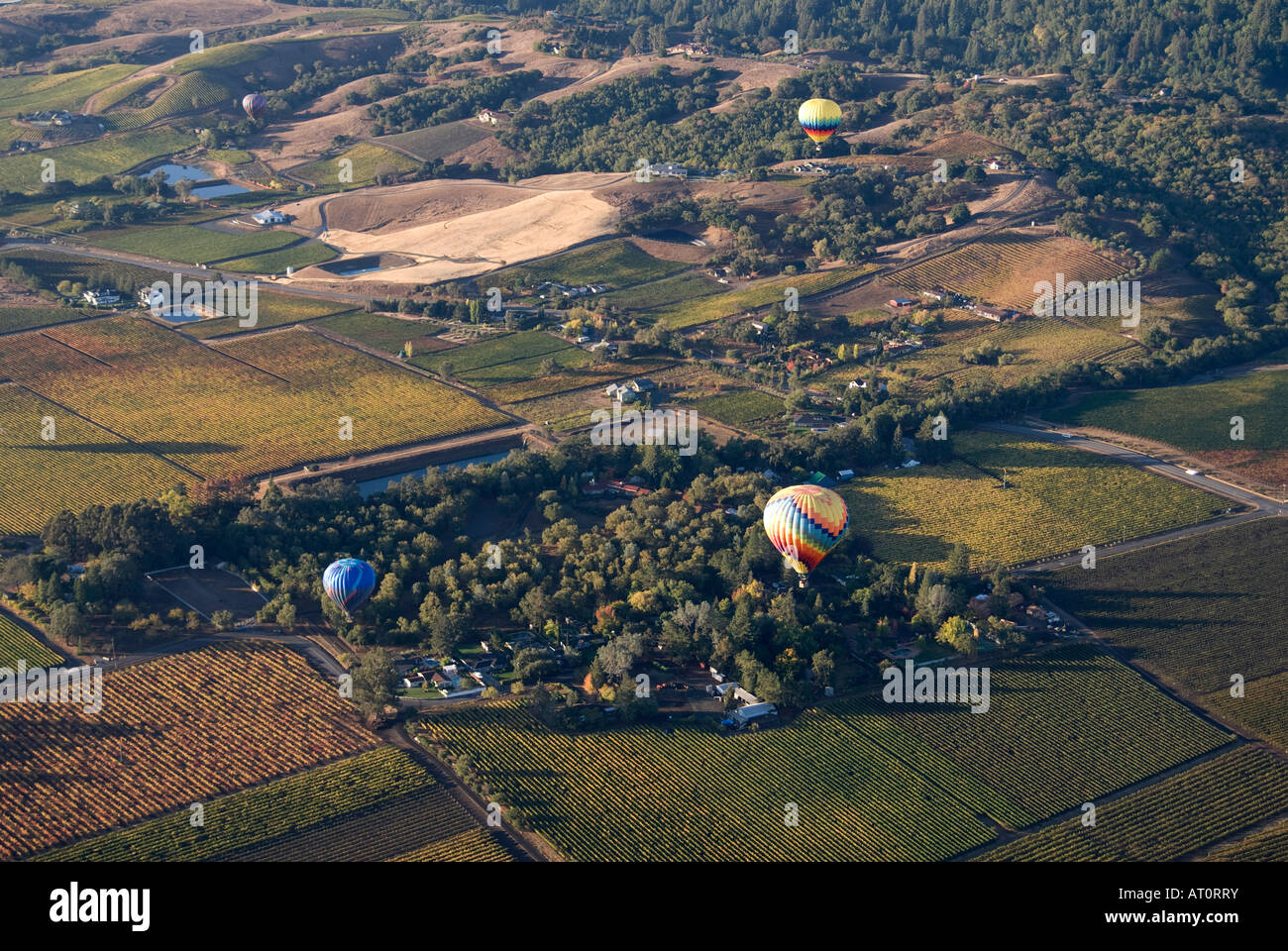 Hot air balloons fly over Napa Valley California Stock Photo - Alamy