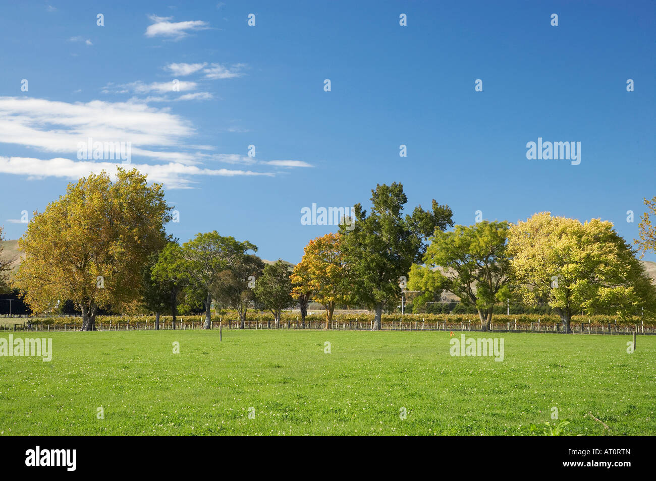 Tutaekuri hi-res stock photography and images - Alamy