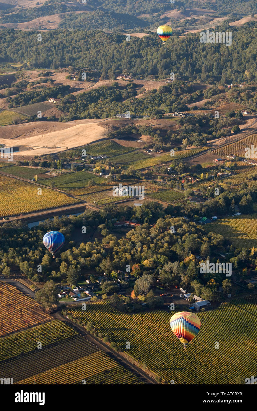 Hot air balloons fly over Napa Valley California Stock Photo - Alamy
