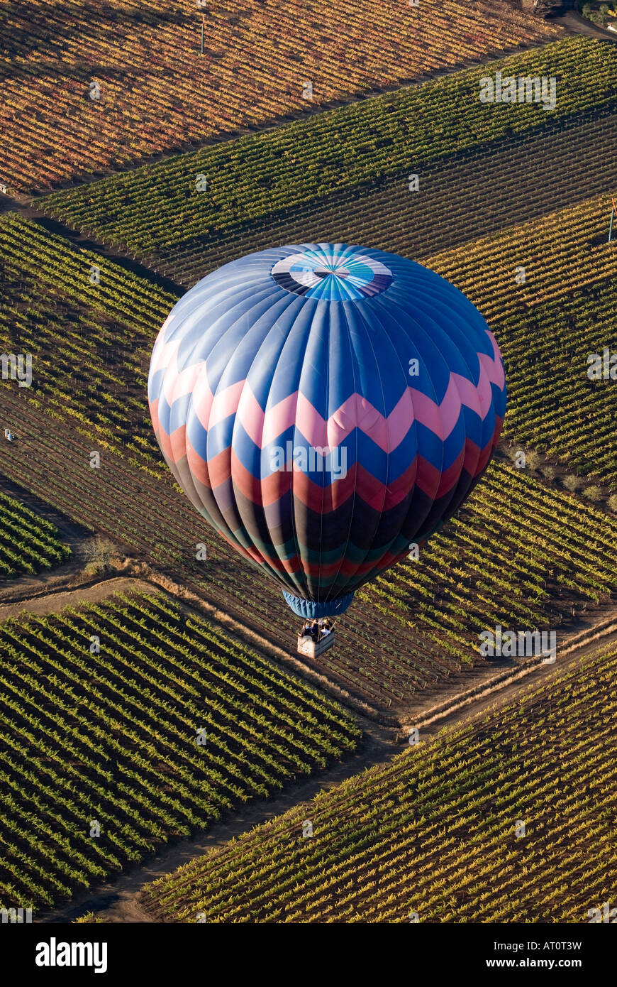 Hot air balloon flies over Napa Valley California Stock Photo - Alamy