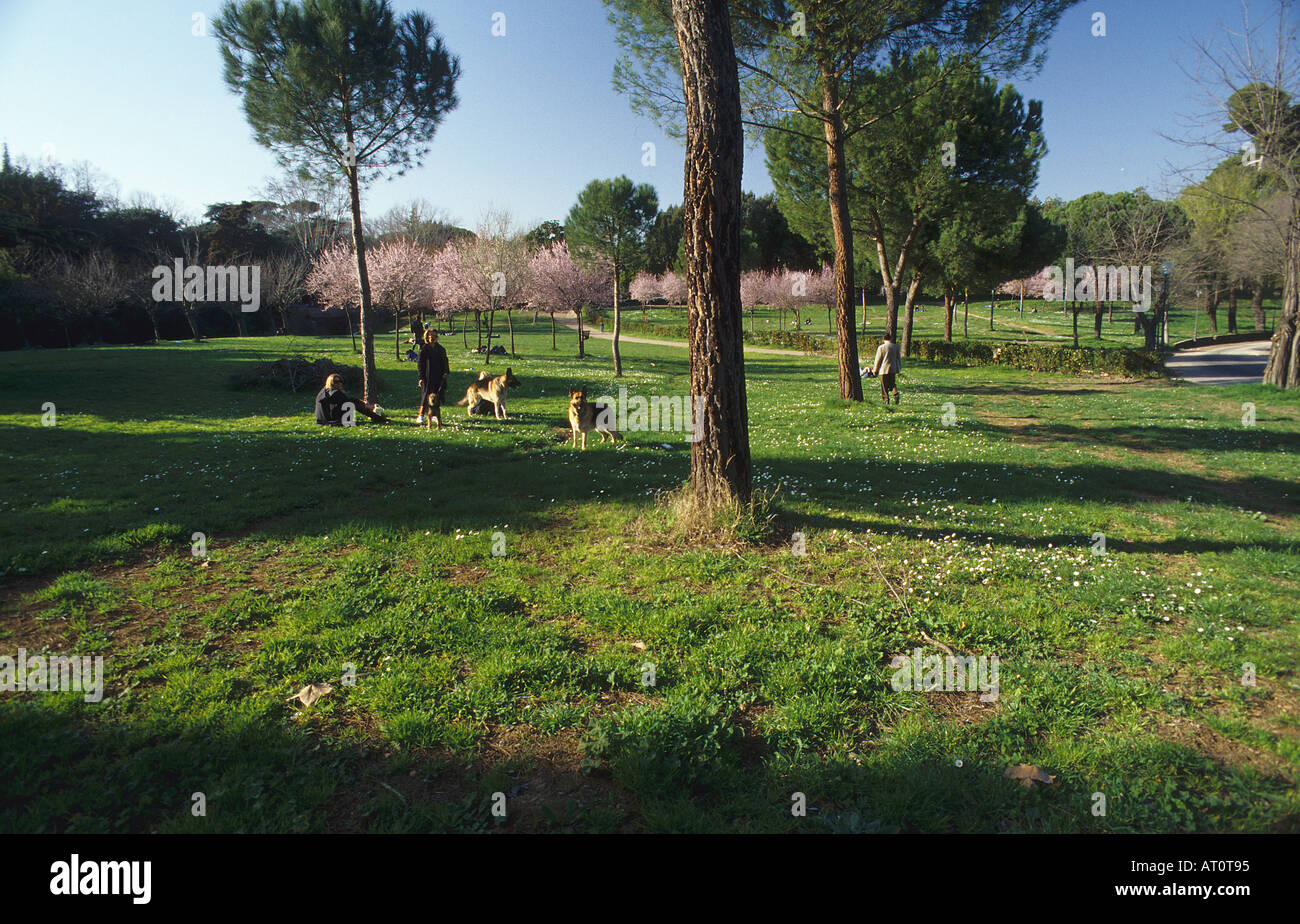 Parco del pincio hi-res stock photography and images - Alamy