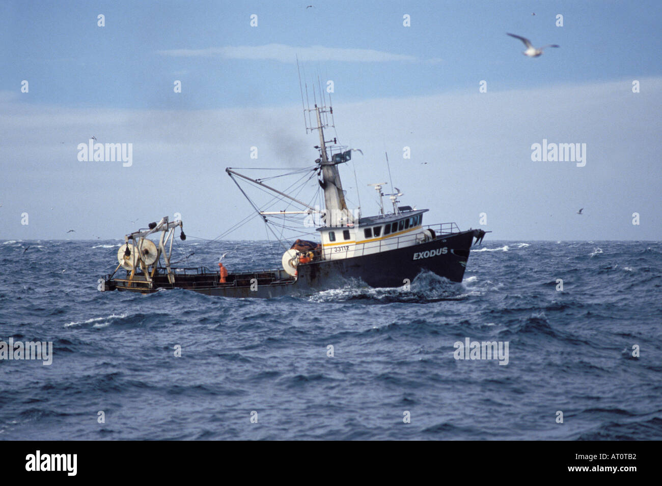vessel Ocean Exodus drag nets for pacific cod Gadus macrocephalus and ...