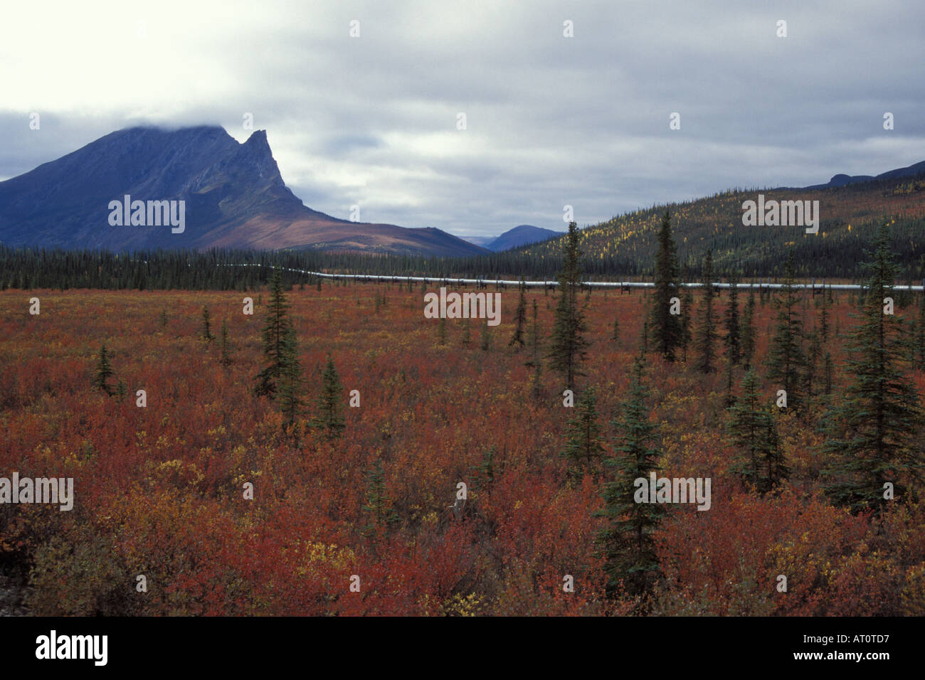Alaskan pipeline on the southside of the Brooks Range with fall tundra ...