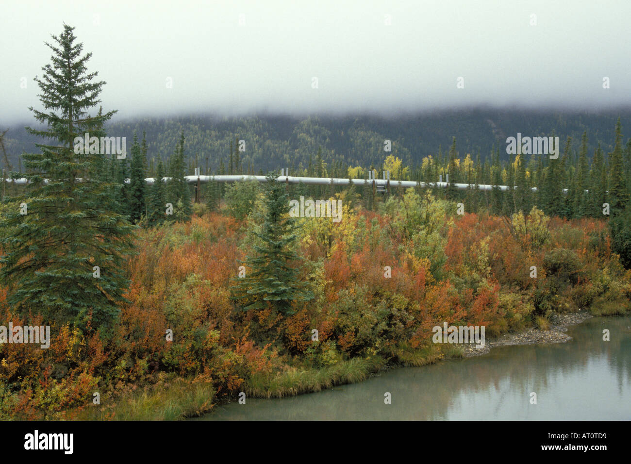 Alaskan pipeline on the southside of the Brooks Range with fall tundra ...