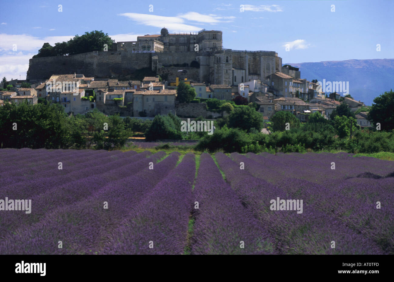 Chateau of Simiane Valreas and Lavender Fields Provence France Stock ...