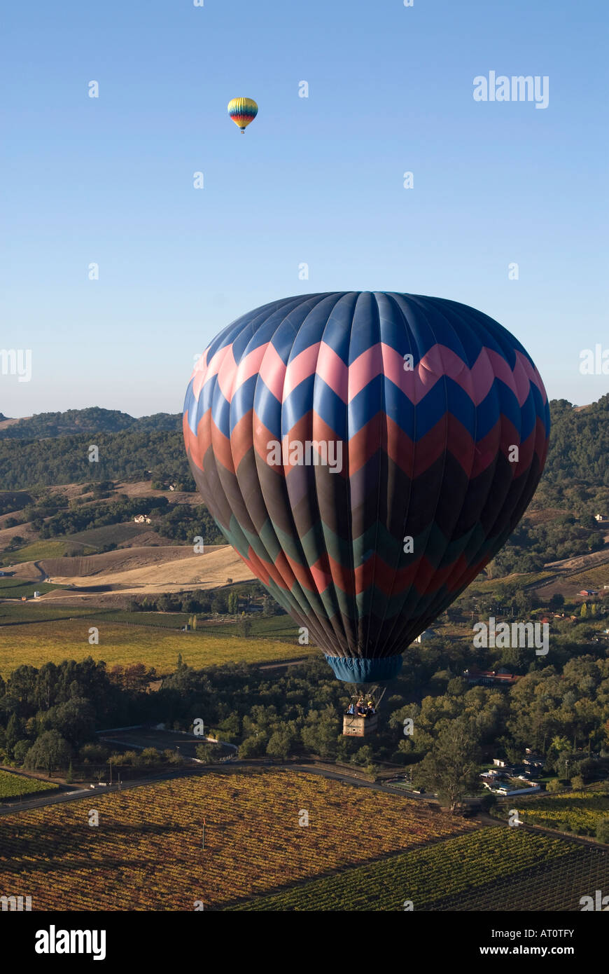 Hot air balloons fly over Napa Valley California Stock Photo - Alamy