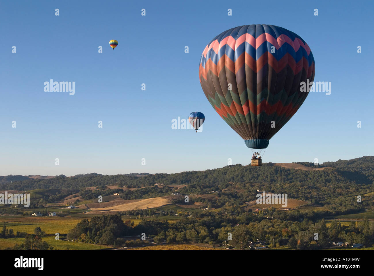 Hot air balloons fly over Napa Valley California Stock Photo - Alamy