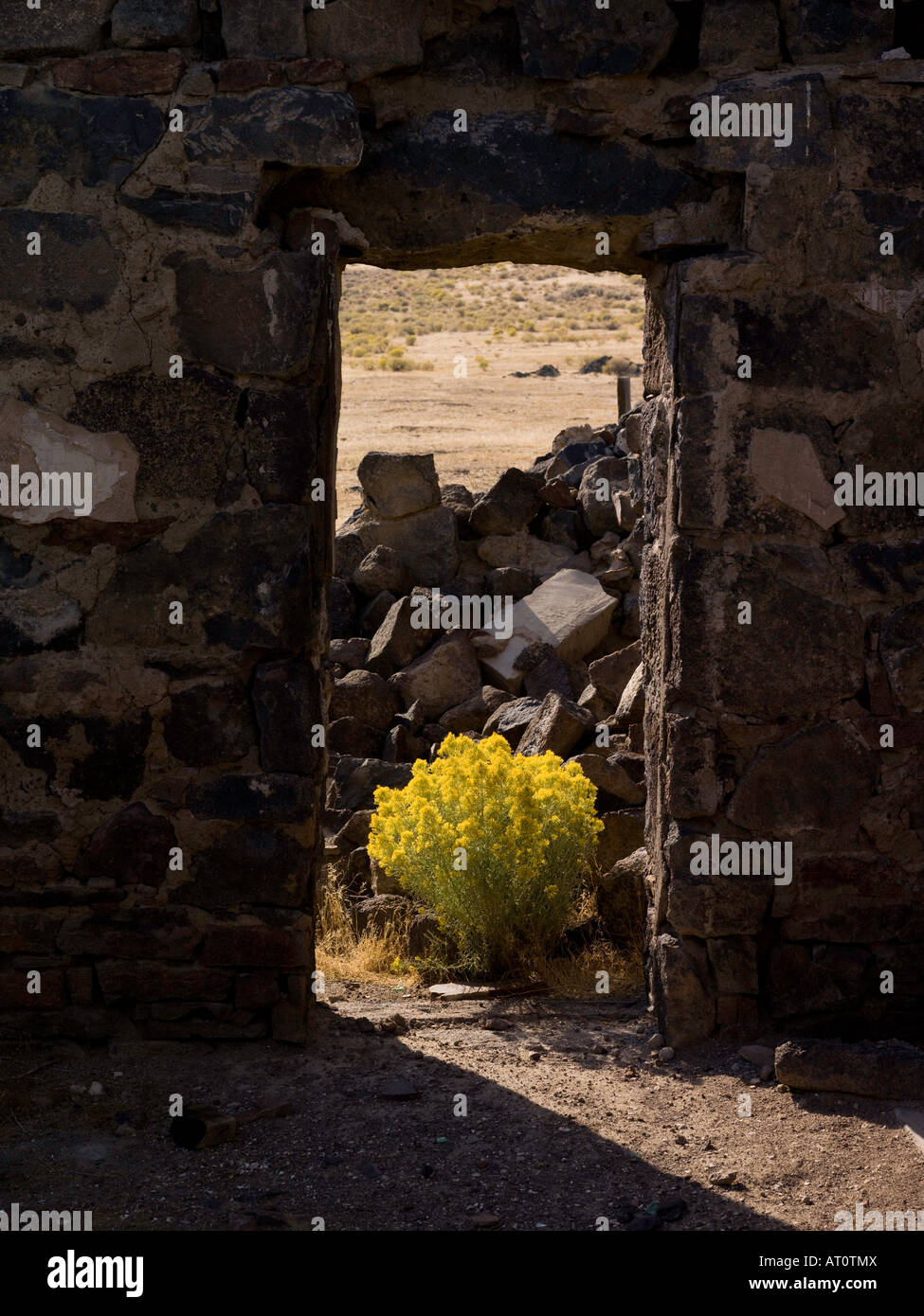 Stone doorways at the old Wickahoney stage stop frame the harsh ...