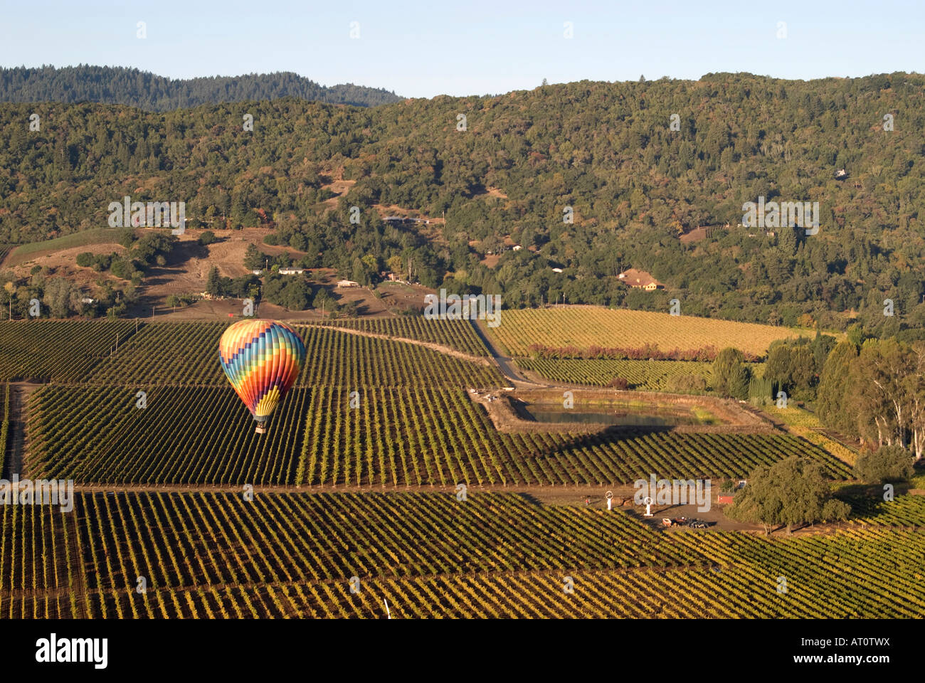 Hot air balloon flies over Napa Valley California Stock Photo - Alamy