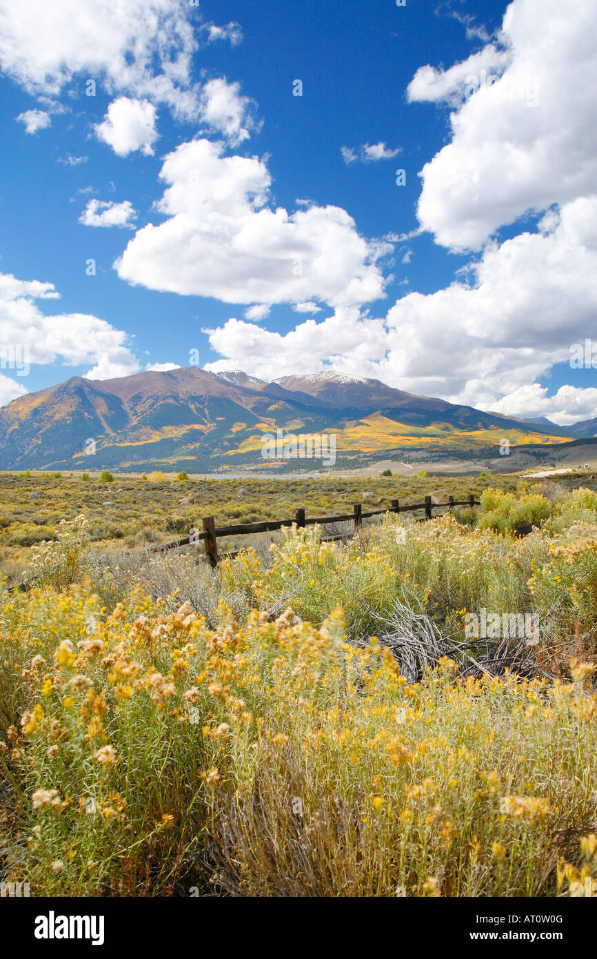 San Isabel National Forest in autumn, Colorado Stock Photo - Alamy