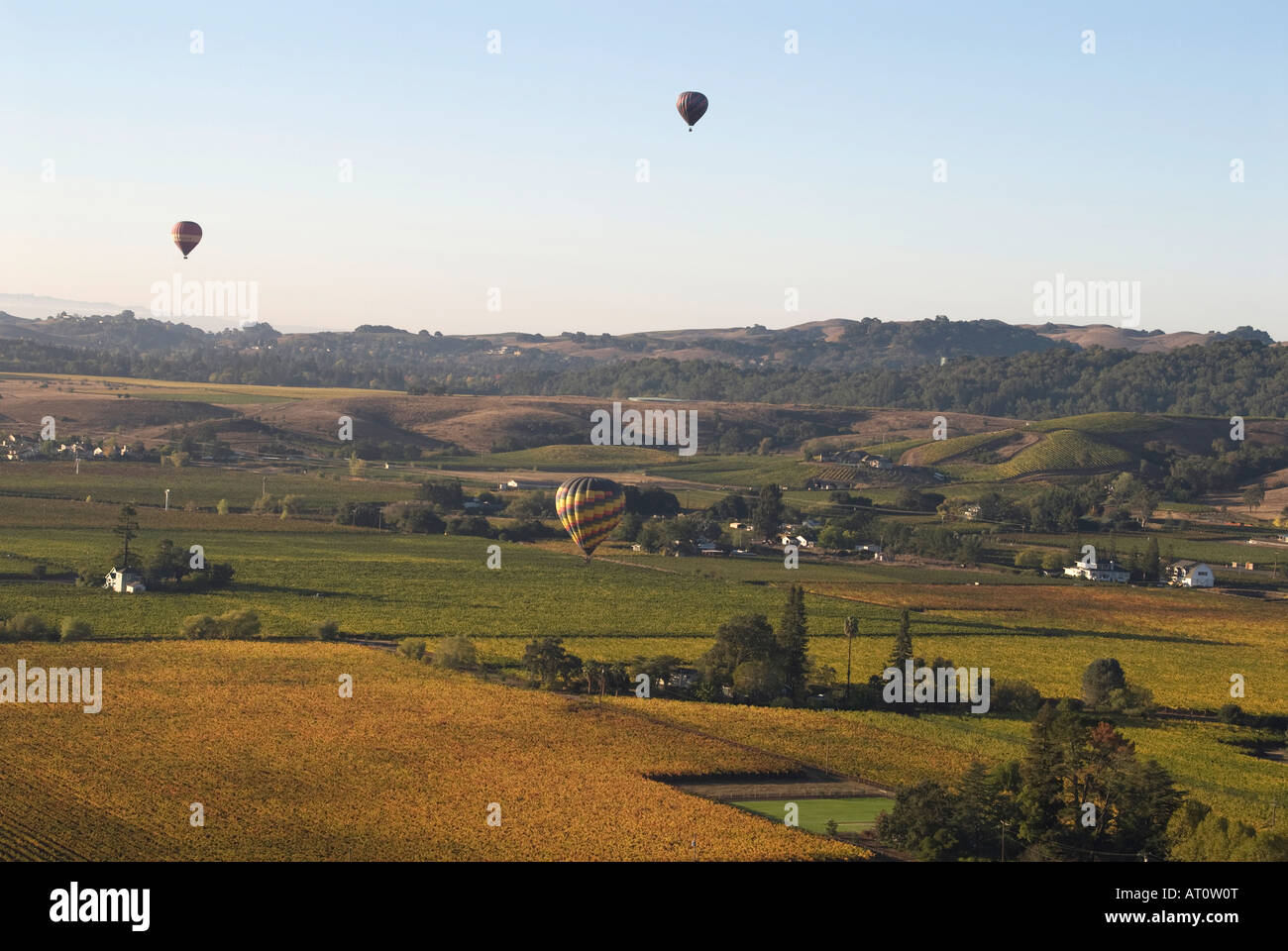 Hot air balloons fly over Napa Valley California Stock Photo - Alamy