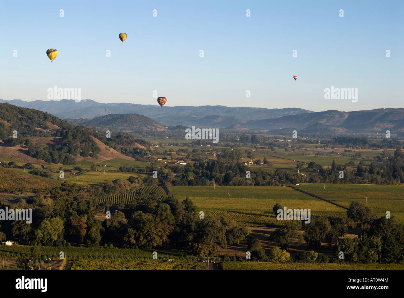Hot air balloons fly over Napa Valley California Stock Photo - Alamy