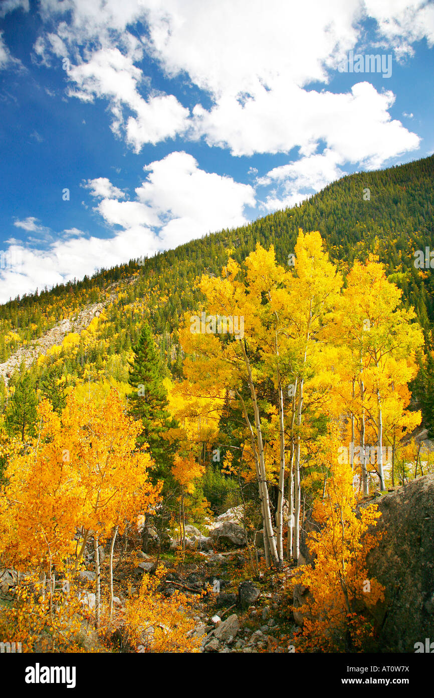 San Isabel National Forest in autumn, Colorado Stock Photo - Alamy