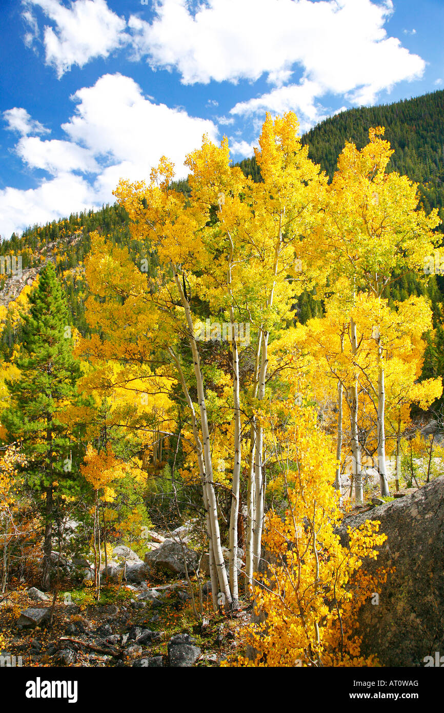 San Isabel National Forest in autumn, Colorado Stock Photo - Alamy