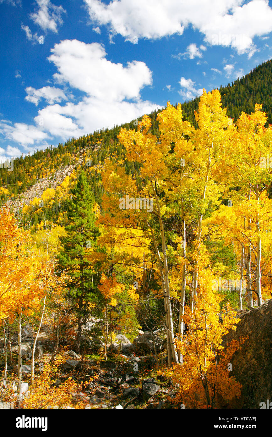 Chrisp Leaves High Resolution Stock Photography and Images - Alamy