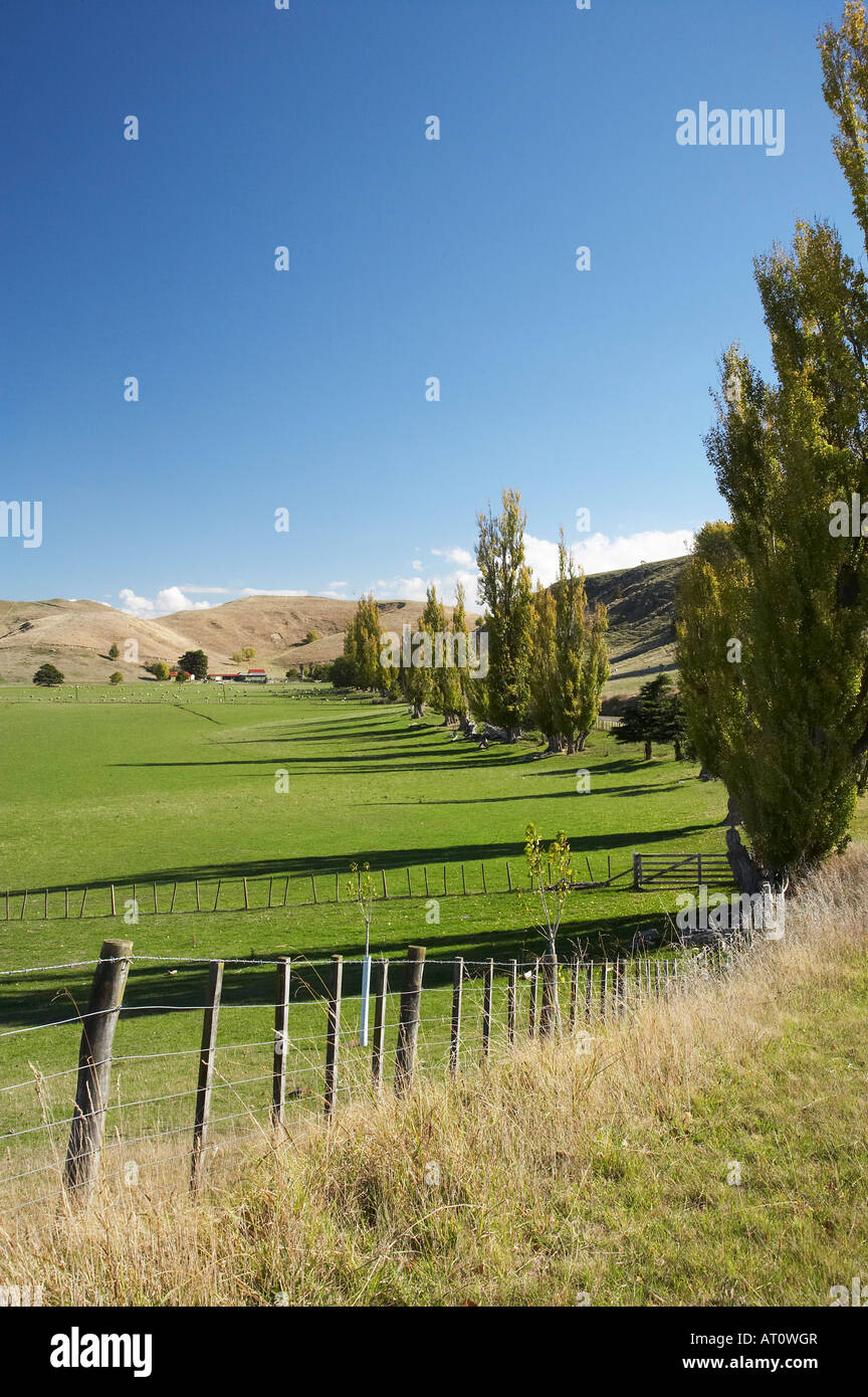 Puketapu hi-res stock photography and images - Alamy