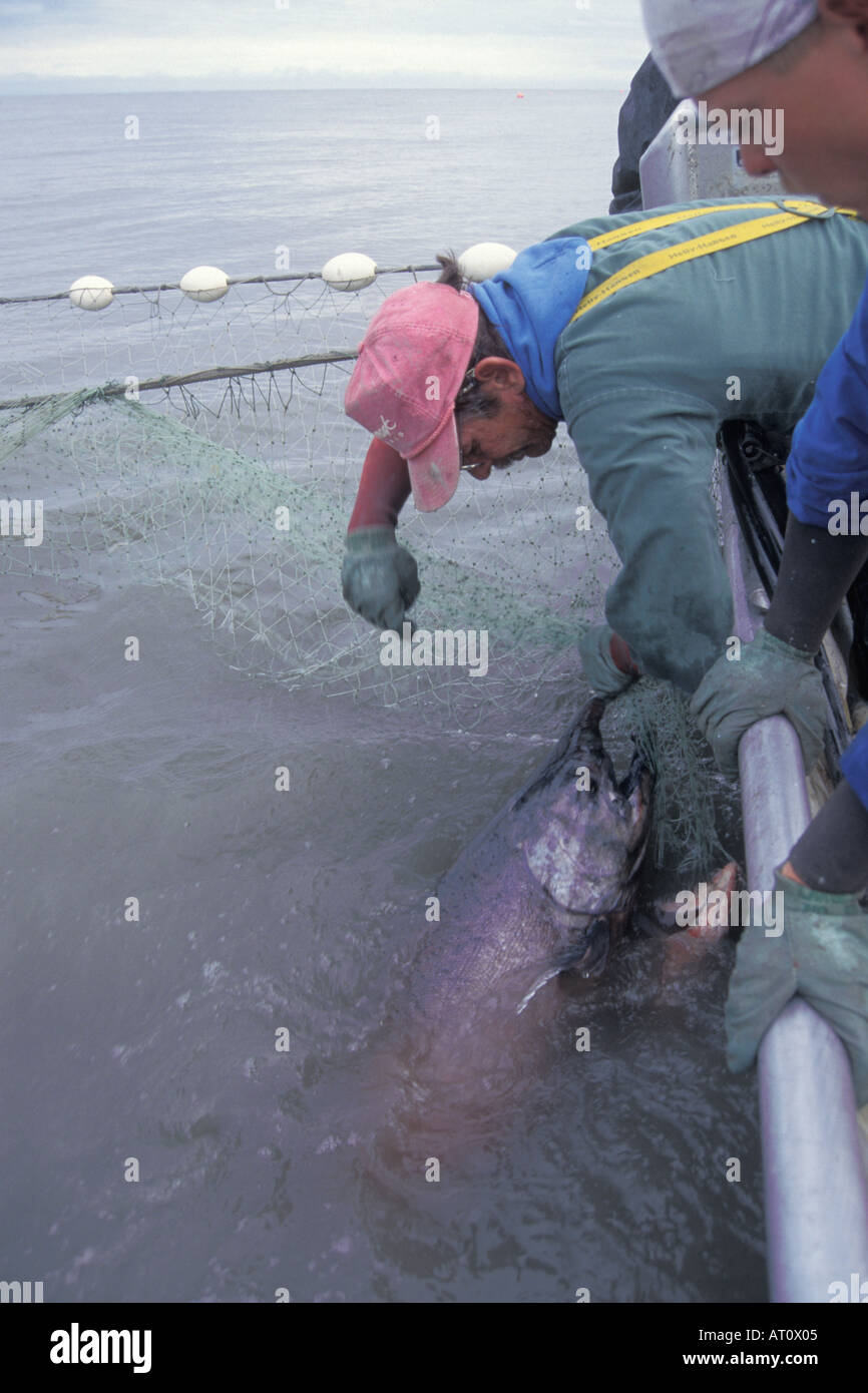 Commercial set net vessel hi-res stock photography and images - Alamy