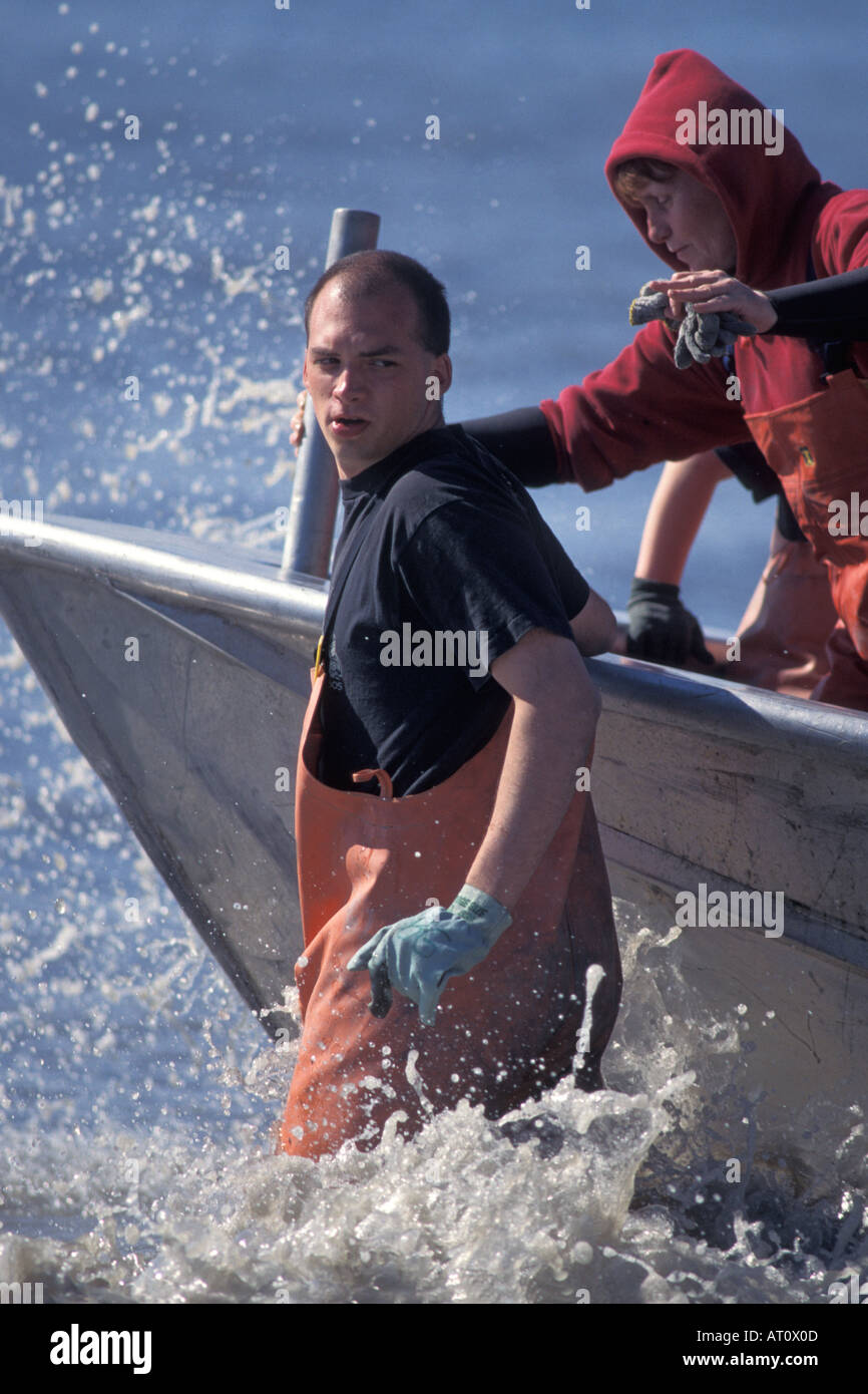commercial set net fisherman after setting nets for Kenai sockeye ...