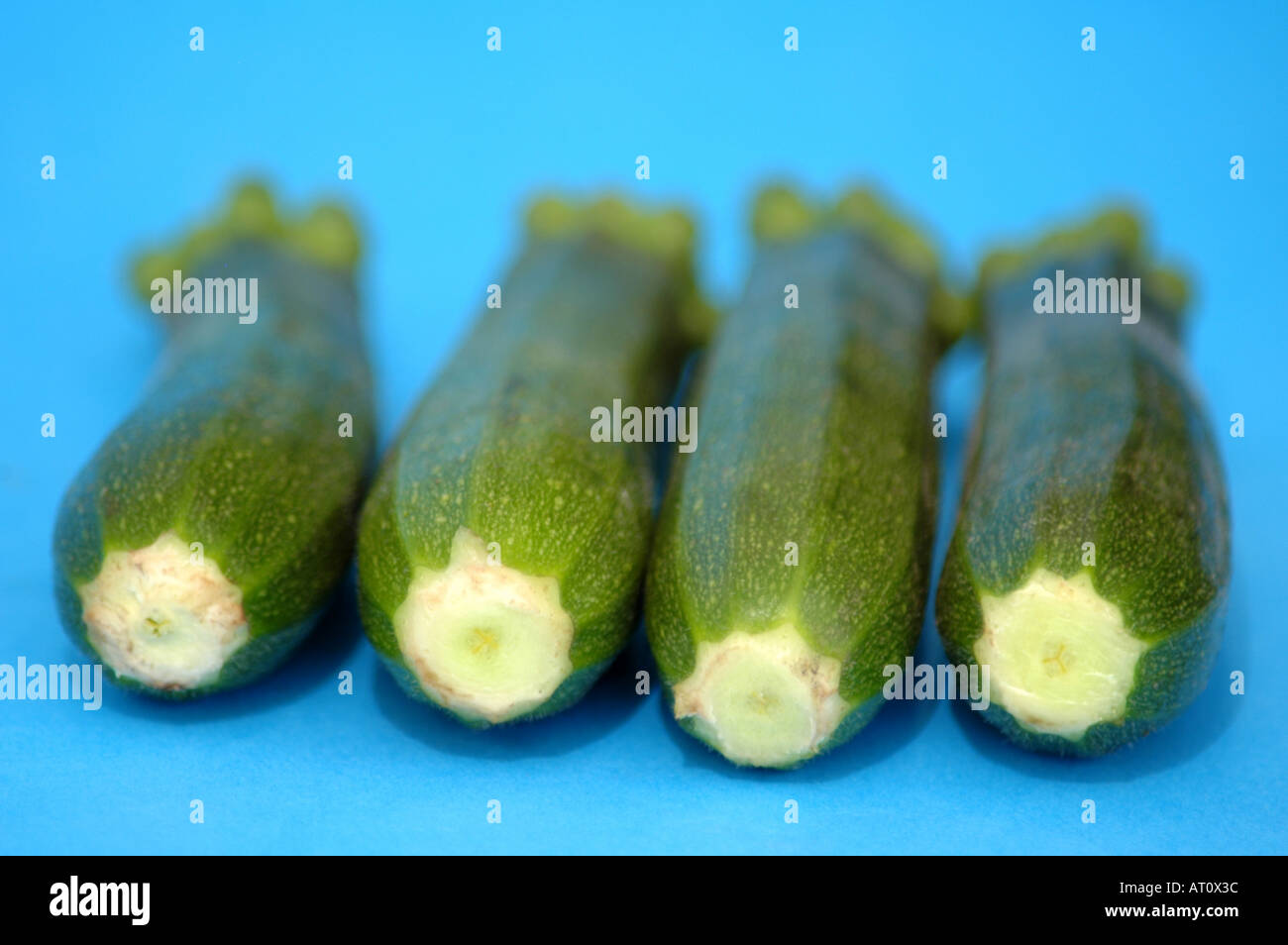 A row of baby courgettes on a blue background Stock Photo - Alamy