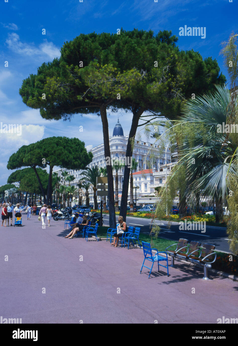 Cannes, France. Carlton Hotel on the seafront Stock Photo - Alamy