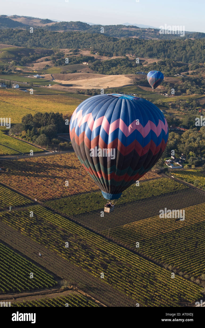 Hot air balloons fly over Napa Valley California Stock Photo - Alamy