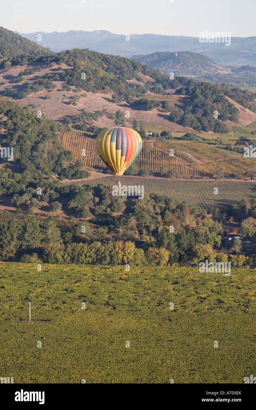 Hot air balloon flies above Napa Valley California Stock Photo - Alamy